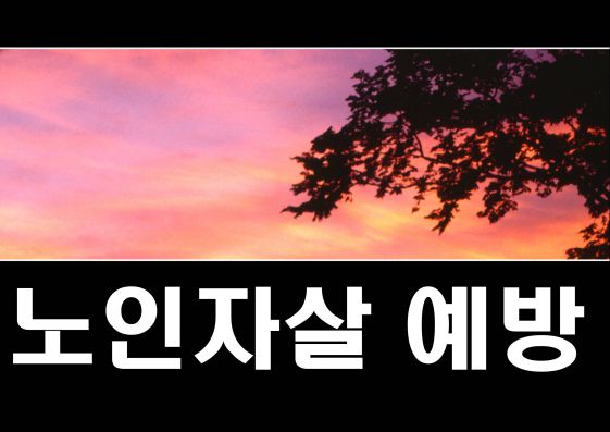 노인자살예방-노인자살현황, 노인자살의 원인과 예방대책