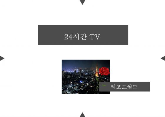 24시간TV 레포트 자료
