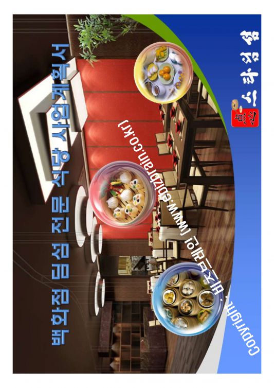 사업계획서(자료조사,분석,대안,전략방안제시)