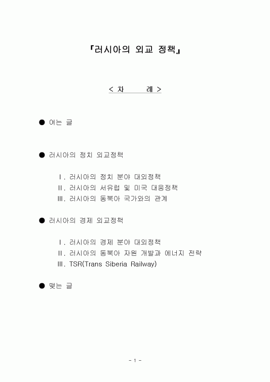 러시아의 외교 정책