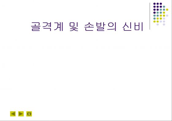 골격계 및 손발의 신비
