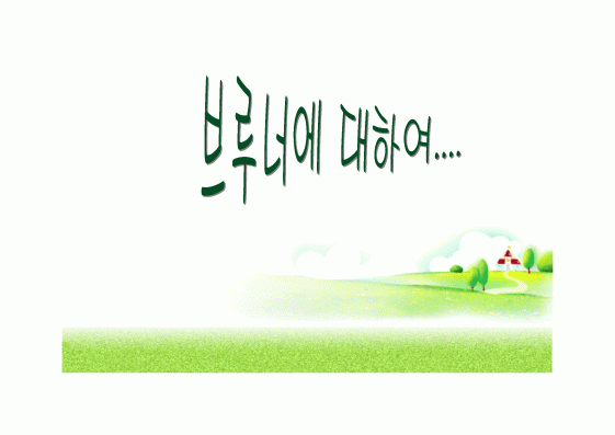 브루너에 대하여