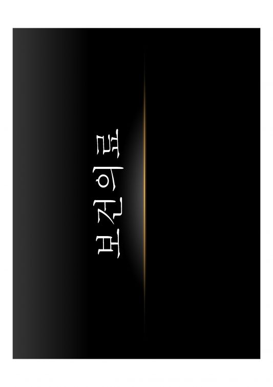 보건의료 (보건의료체계,일차보건의료,의료보장).pdf