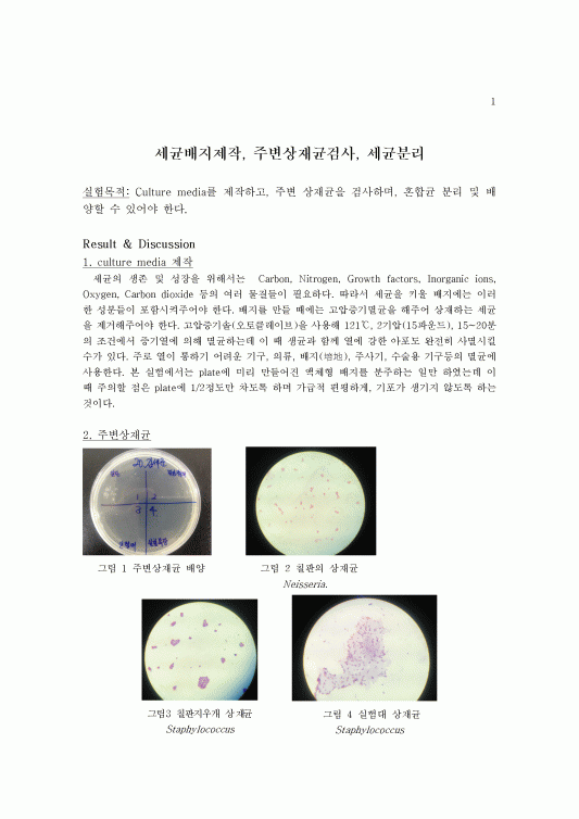 1025,26_세균배지제작, 주변상재균, 세균분리