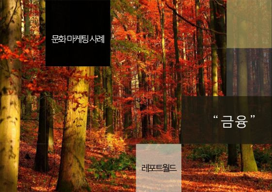 문화마케팅- 금융