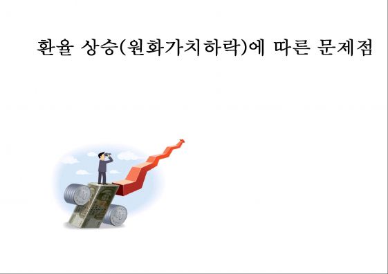거시경제학 - 환율 상승(원화가치하락)에 따른 문제점
