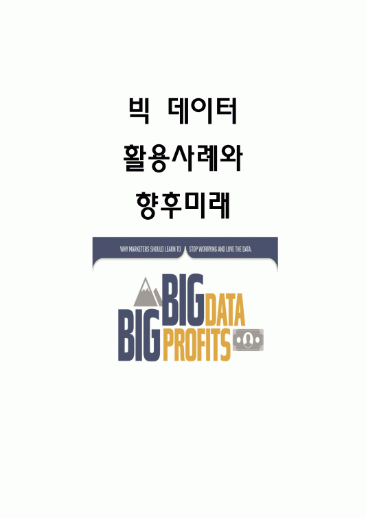 빅데이터(big data) 기업들의 활용사례(월마트,구글)분석과 빅데이터의 현재가치분석 및 빅데이터 향후 활용전망과 시사점