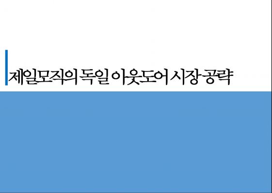 제일모직 빈폴아웃도어 독일 아웃도어 시장진출 마케팅전략 분석