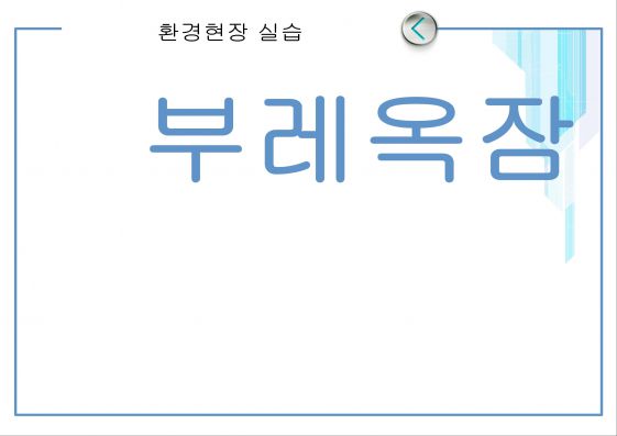 환경부레옥잠 폐수처리