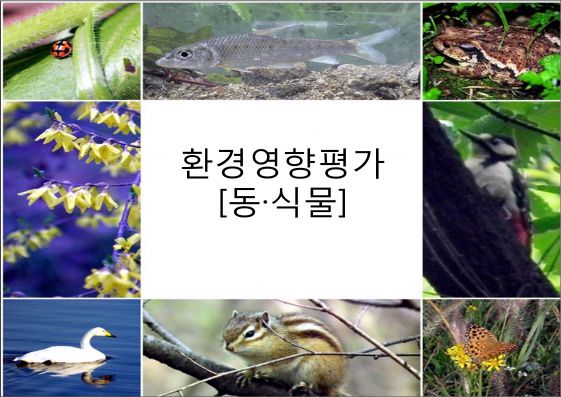 환경영양 평가