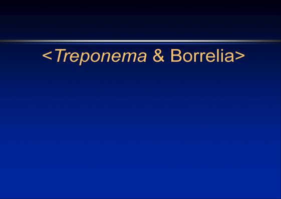 (팀발표, 조발표) Treponema에 관한 모든 것 「Treponema & Borrelia」 - 매독.ppt