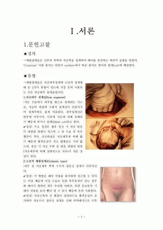 c/sec 간호과정