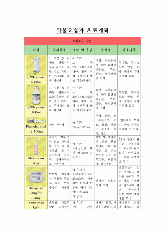 간호학 실습 - 뇌신경계 환자 약물요법과 치료계획