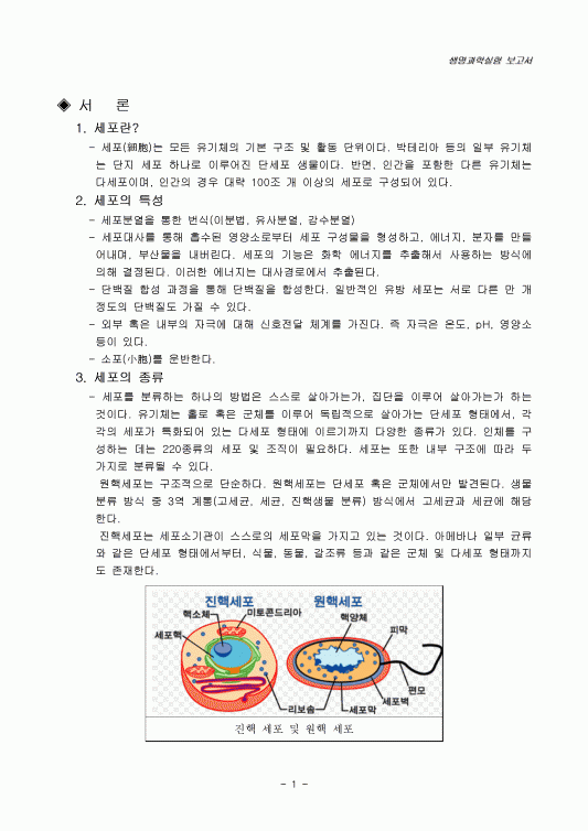생명과학보고서 - 세포의 관찰, 세포의 특성, 세포의 종류, 관찰 보고서