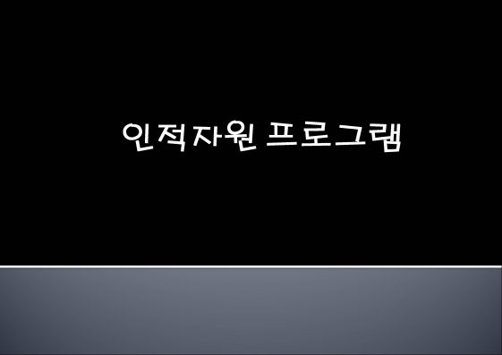 인적자원 프로그램.pptx