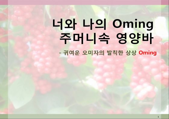 오미자, 웰빙,마케팅,브랜드, 브랜드마케팅,기업,서비스마케팅,글로벌,경영,시장,사례,swot,stp,4p