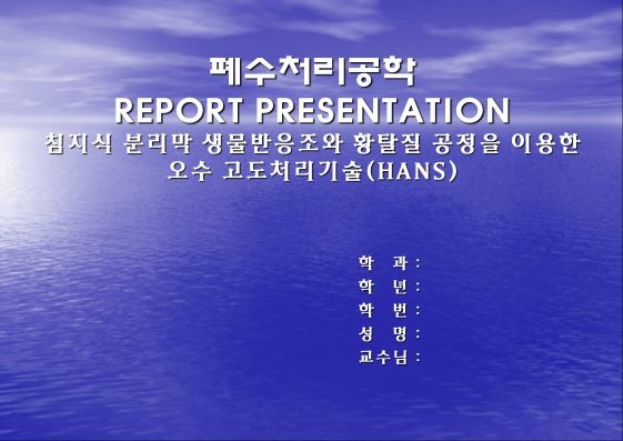 침지식 분리막 생물반응조와 황탈질 공정을 이용한 오수 고도처리기술(HANS)