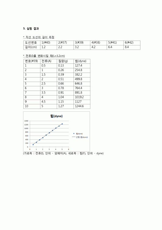 자기력 결과 리포트