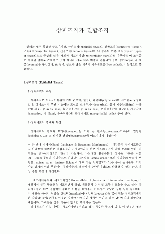 [해부학] 상피조직(Epithelial Tissue)과 결합조직(Connective Tissue)