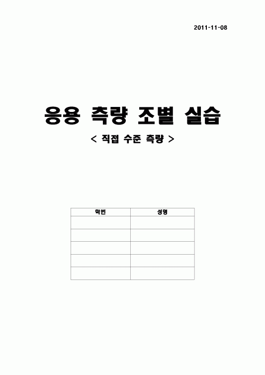 측량 직접 수준 레포트