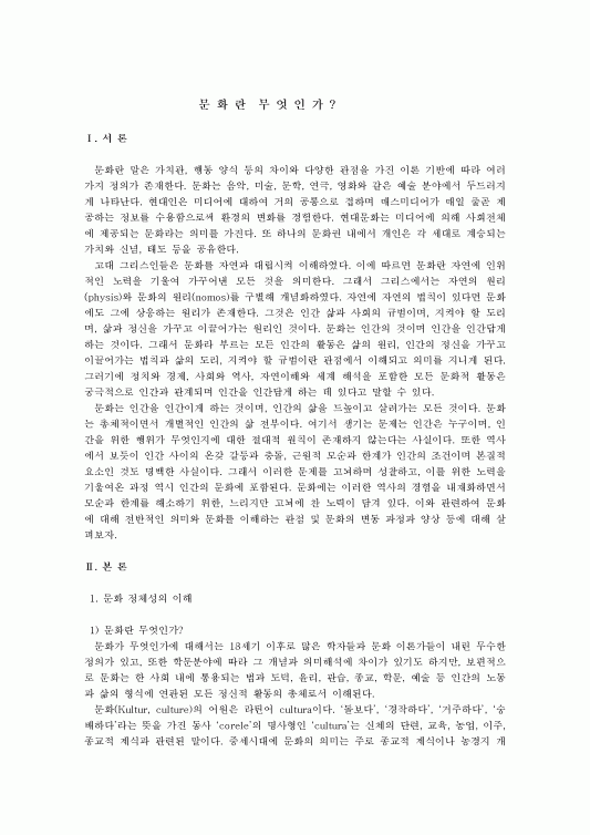 문화를 이해하는 관점 및 문화의 변동 과정과 양상에 대해