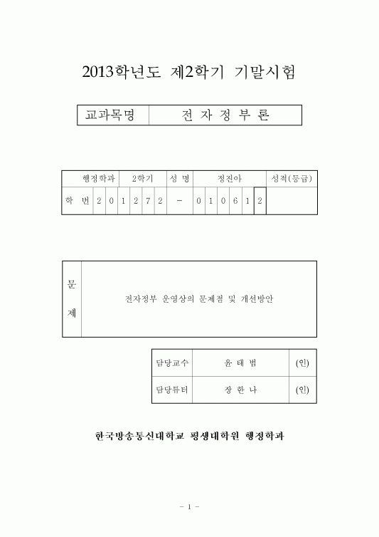 전자정부 운영상의 문제점 및 개선방안