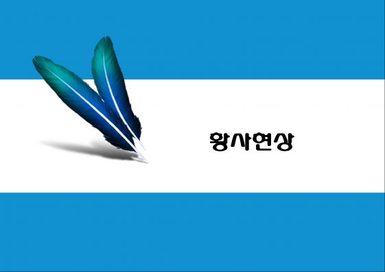 황사현상분석
