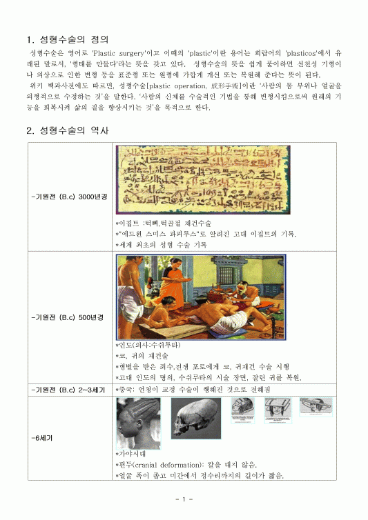 성형수술에 대한 모든 것 (성형수술의 정의, 역사, 분류 및 종류, 한방 성형수술, 성형수술의 현 실태 (국내), 장점, 필요성, 단점, 폐해)