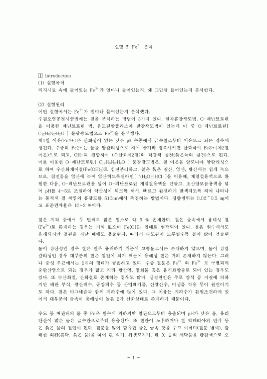 6 Fe3+ 레포트 자료
