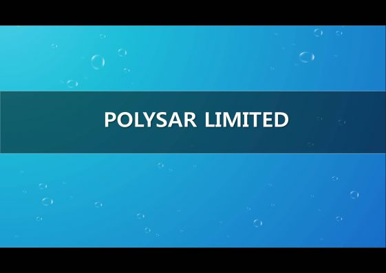 POLYSAR LIMITED - 폴리사,POLYSAR LIMITED,POLYSAR LIMITED사례.PPT자료
