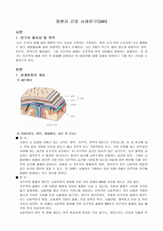 SAH case study 레포트 자료