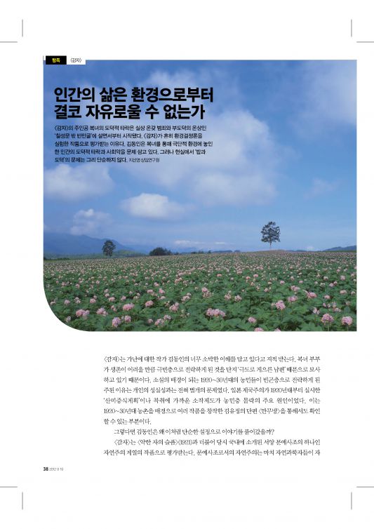 [논술/탐독] <감자> 인간의 삶은 환경으로부터 결코 자유로울 수 없는가