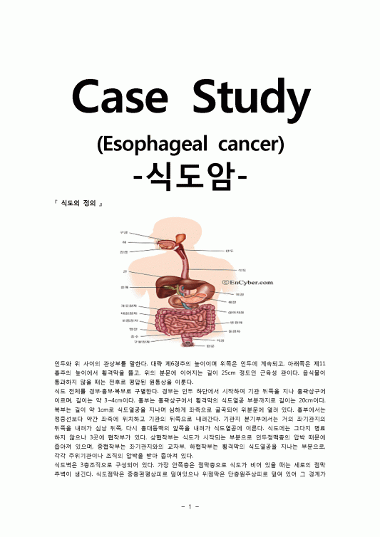 [성인간호학][Esophageal cancer][식도암] 케이스 스터디(Case Study), 문헌고찰