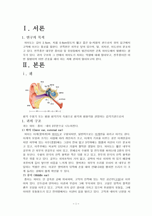 [성인간호학][외이도진주종]케이스 스터디(Case Study), 문헌고찰