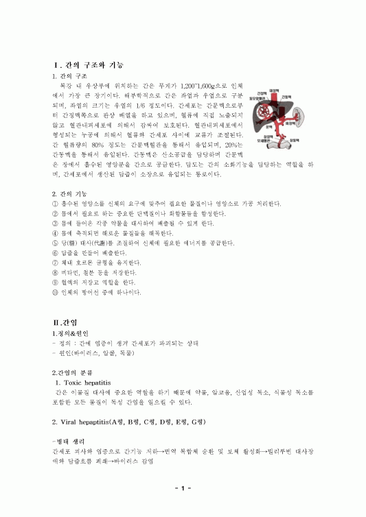 간염., 레포트 자료