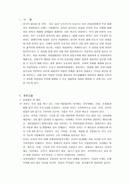 [성인간호학][Burn][화상] 케이스 스터디(Case Study), 문헌고찰