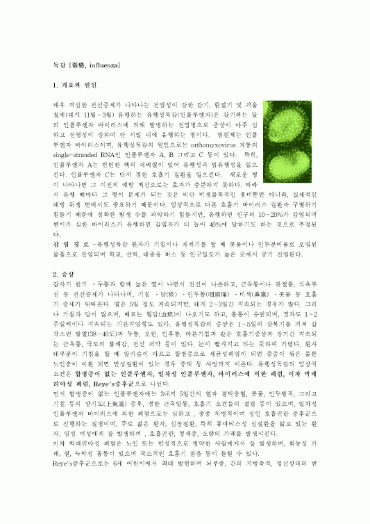 독감-8735 레포트 자료