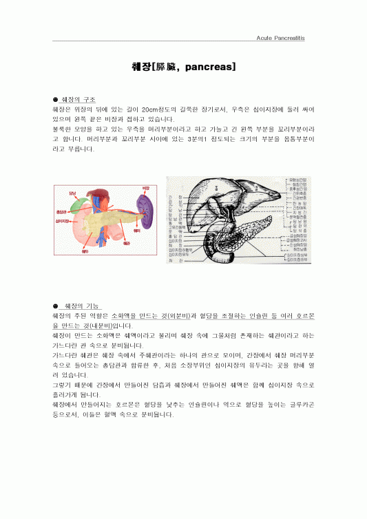 췌장(pancreas)과 급성췌장염(Acute Pancreatitis)에 대한 문헌고찰