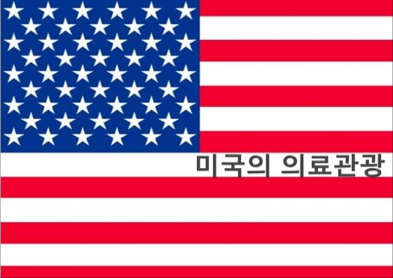미국의 의료관광.PPT자료