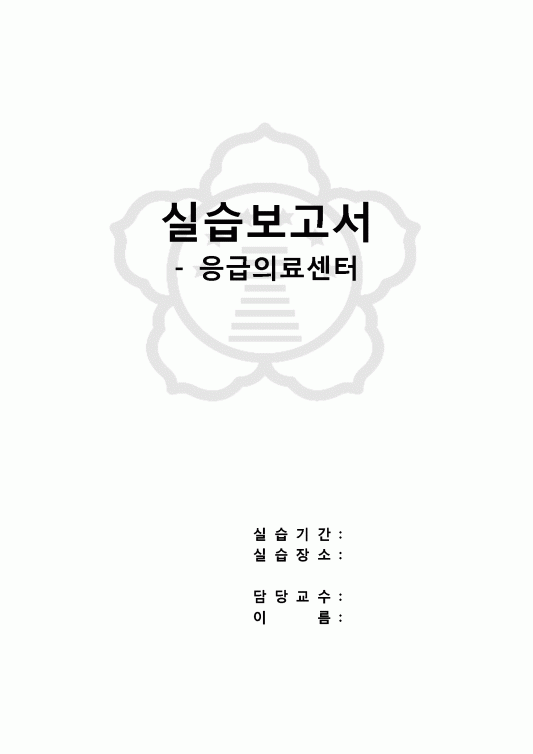 응급실보고서