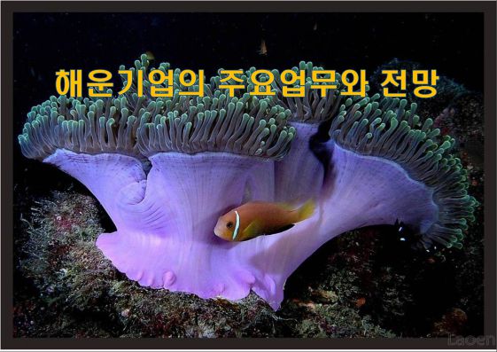 해운기업의 주요업무와 전망.PPT자료