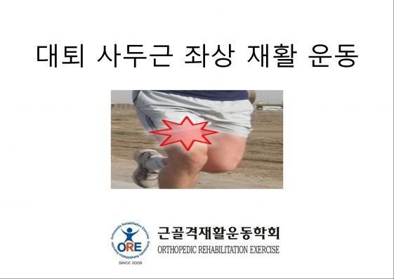 대퇴 사두근 좌상 재활 운동.PPT자료