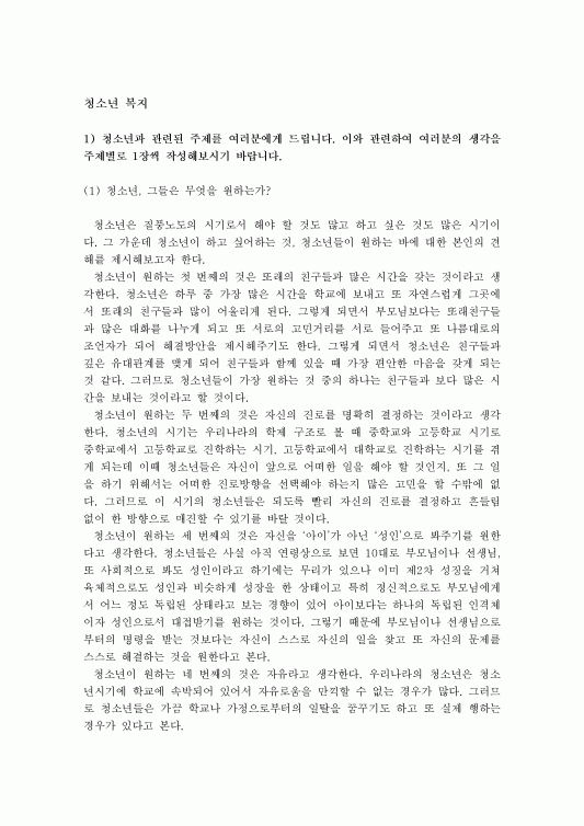 [사회복지] 청소년복지