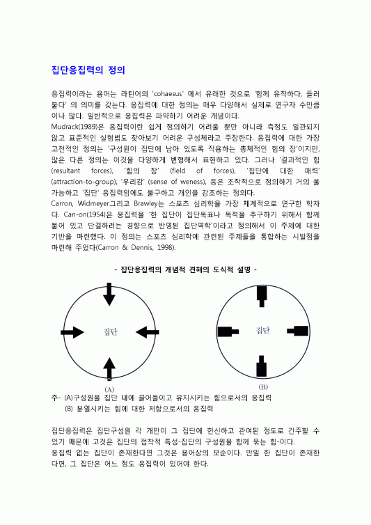 [집단응집력] 집단응집력의 정의(개념)