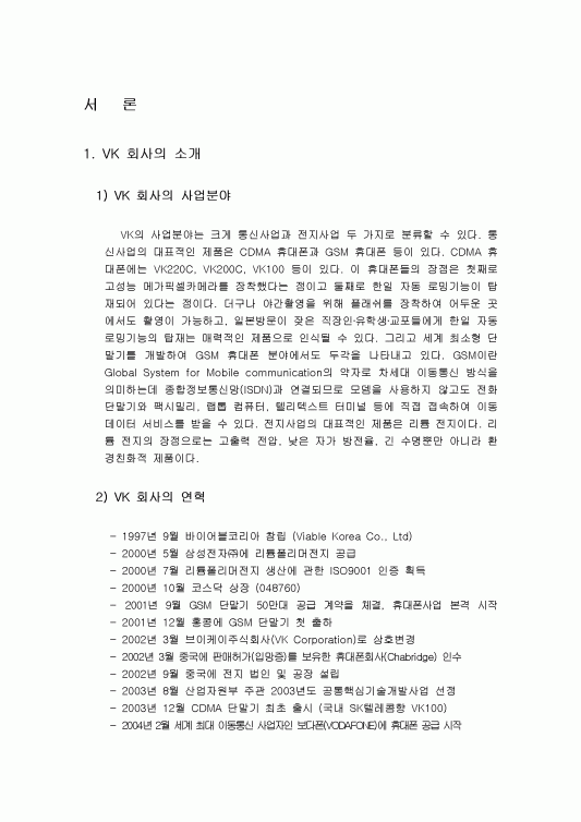 VK 회사 레포트 자료