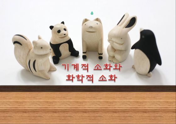 기계적소화 화학적소화