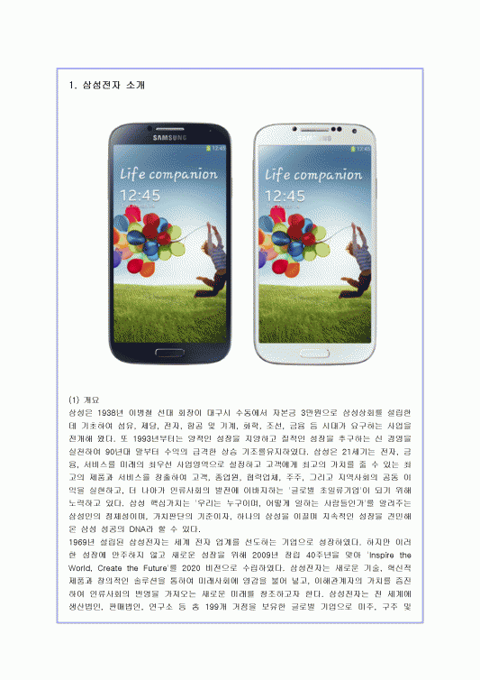 인재경영 삼성전자의 인적자원관리 분석