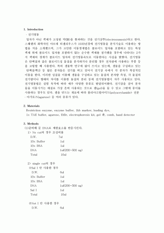 [생물학 실험] 전기영동 실험