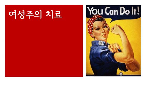 심리치료 이론 -여성주의 치료 조사 (ppt 발표)