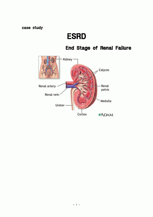 ESRD CASE STUDY 레포트 자료